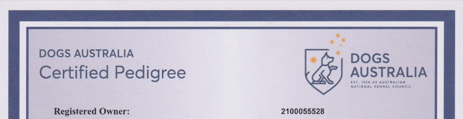 Dogs Pedigree papers – Cocobo Paws 4 Life